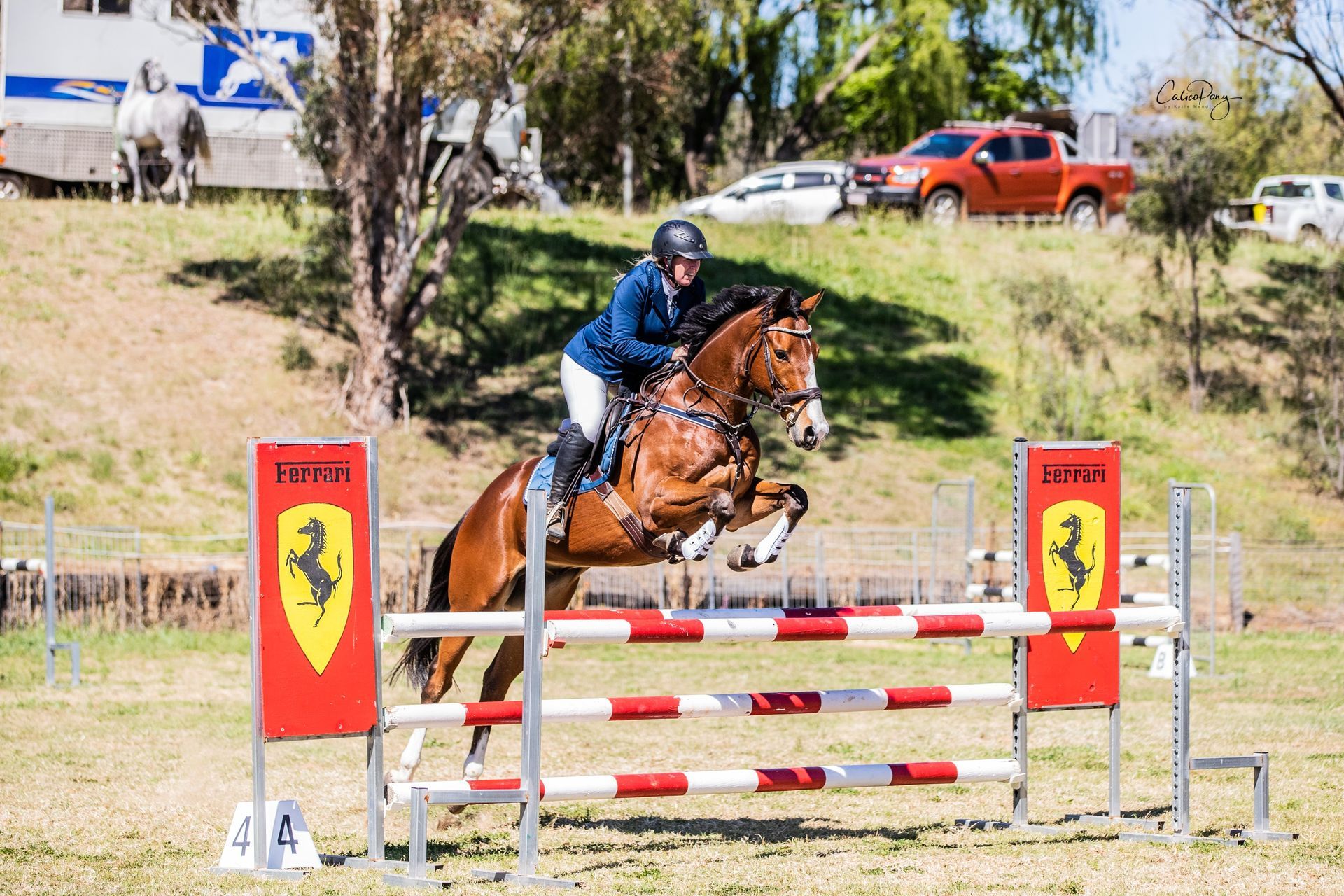 The Secret and the Magic of QOTT