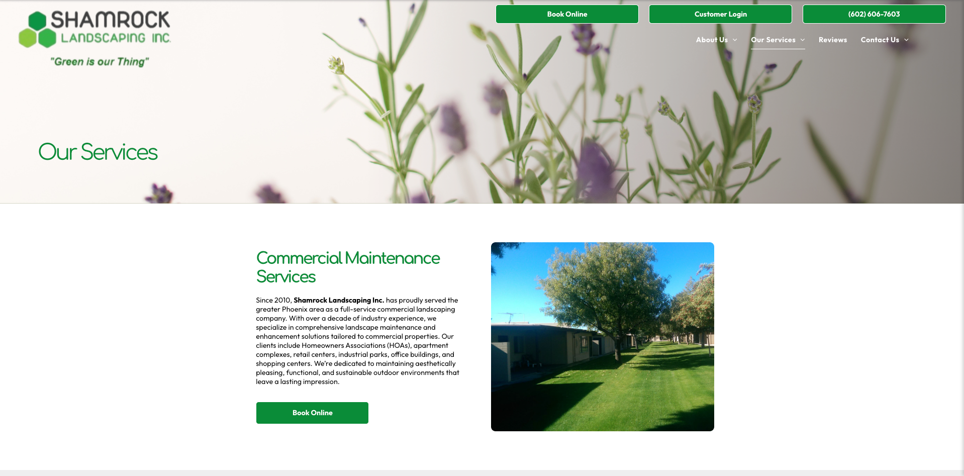 Landscape Services | Phoenix, AZ | Shamrock Landscaping Inc
