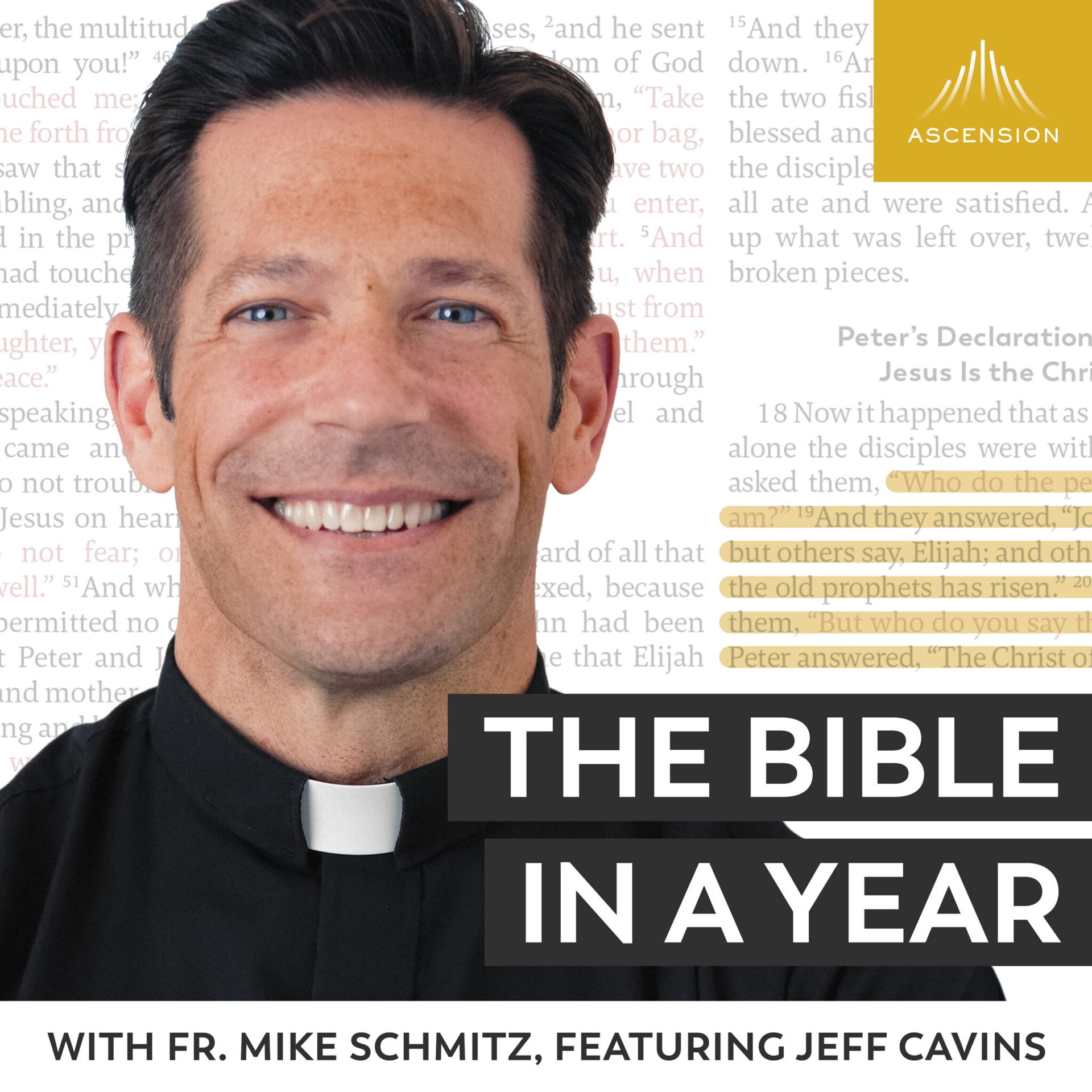 The Bible In A Year With Commentary By Fr Mark Day 61