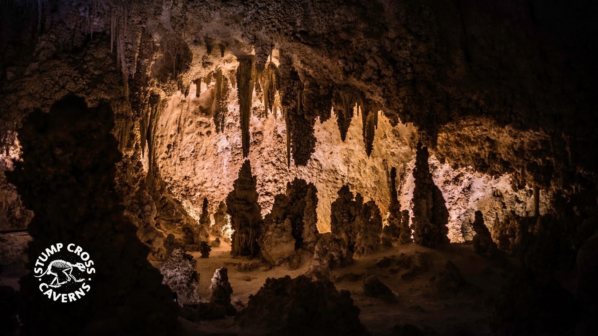 Stump Cross Caverns – A Fun Family Day Out in Yorkshire