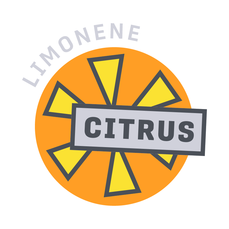 Cannabis Terpenes | Terpene Journey Dispensary