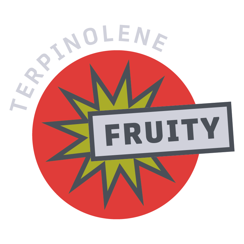 Cannabis Store | Terpene Journey Dispensary