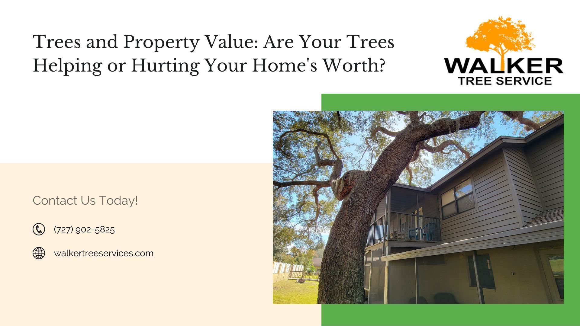 Trees and Property Value: Are Your Trees Helping or Hurting Your Home's ...