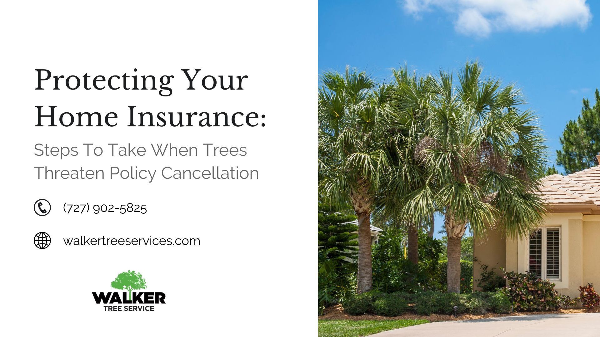 6 Ft. Up, 6 Ft. Off, How Your Trees Impact Your Homeowner’s Insurance ...