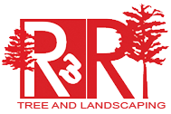 Tree Services | North Atlanta, GA | R&R Tree Service