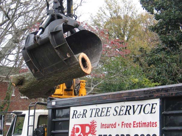 Tree Services | North Atlanta, GA | R&R Tree Service