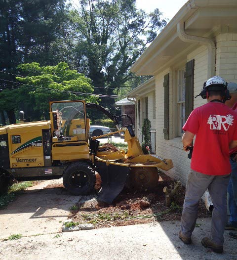 Tree Services | North Atlanta, GA | R&R Tree Service