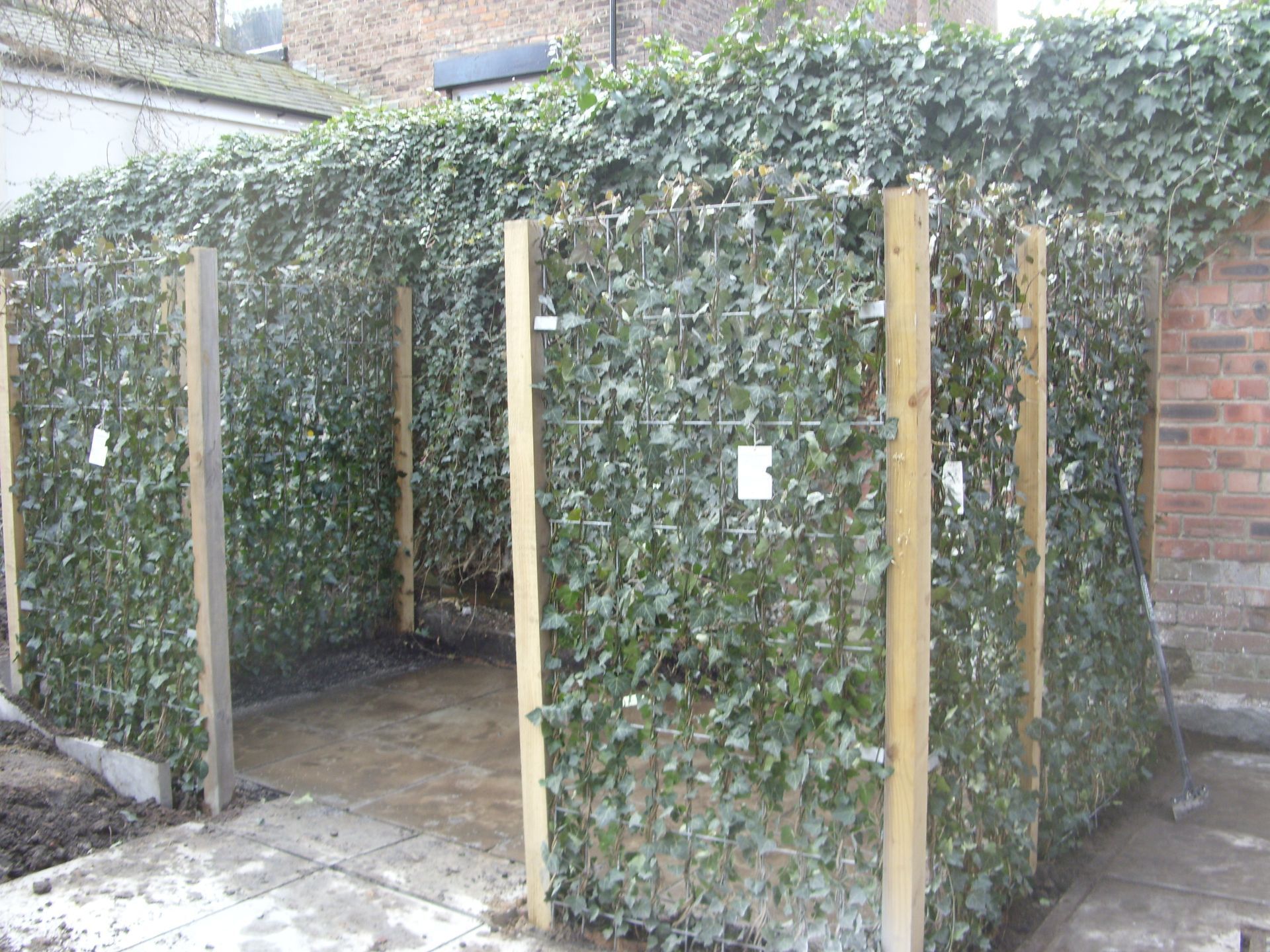 Mobilane Ivy Green Screens - Instant privacy & pollution filtering fencing