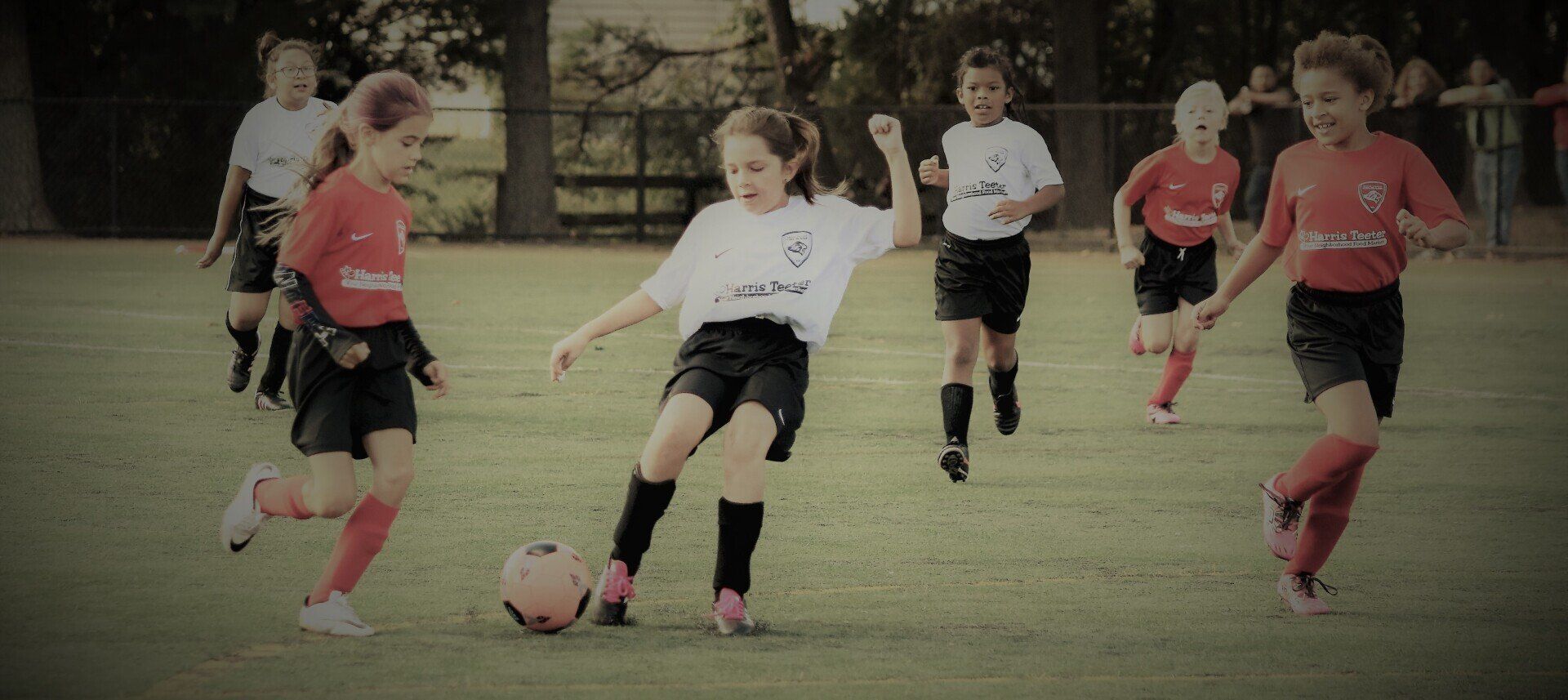 Prince William Soccer Inc