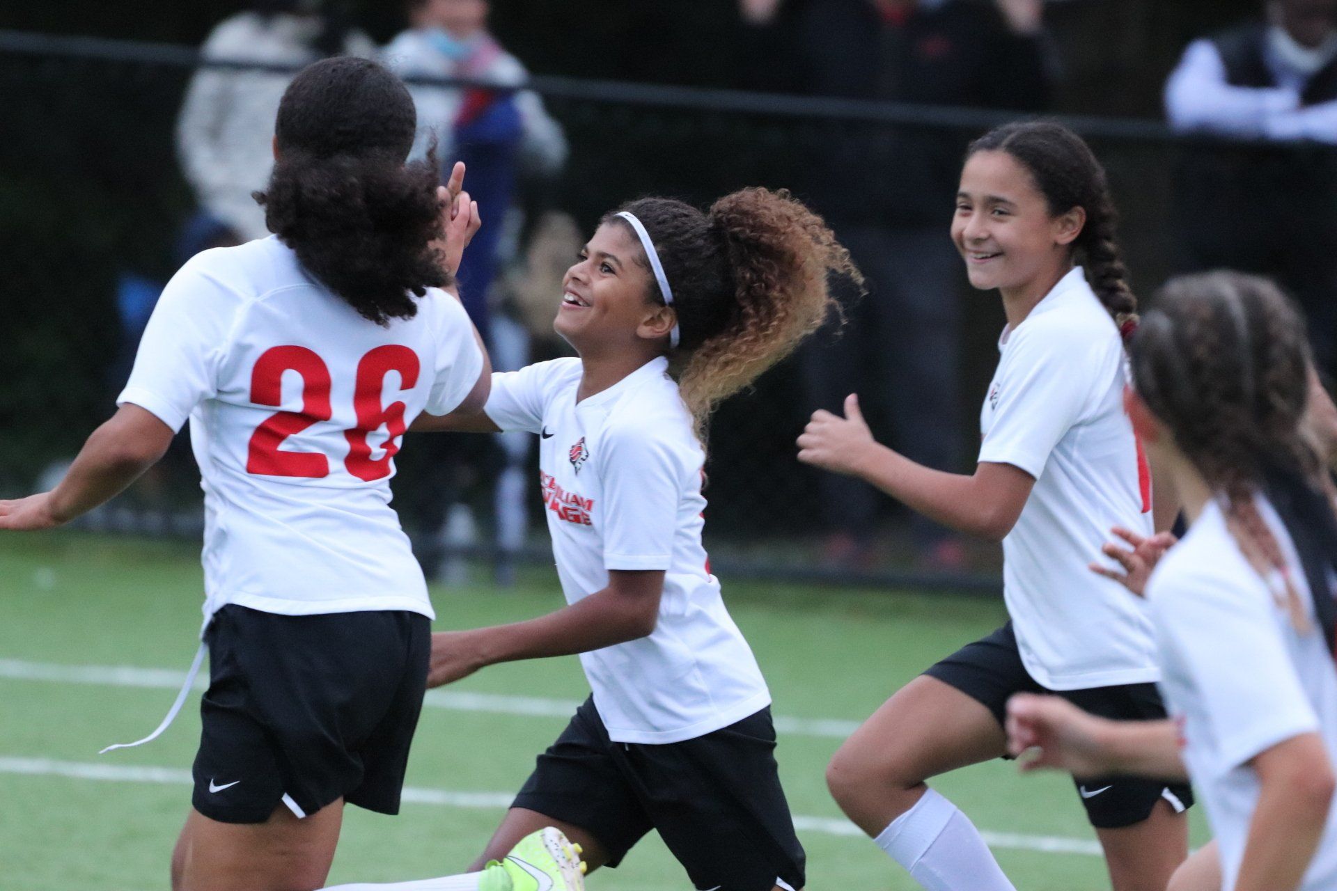 Prince William Soccer Inc