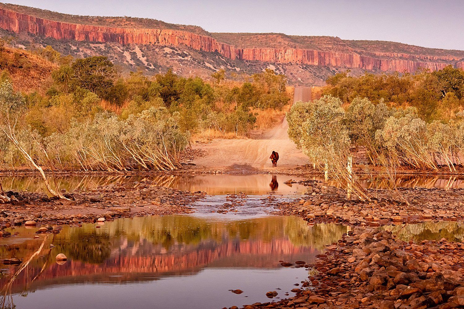 The Kimberley | Your Gateway to the Territory & Kimberley