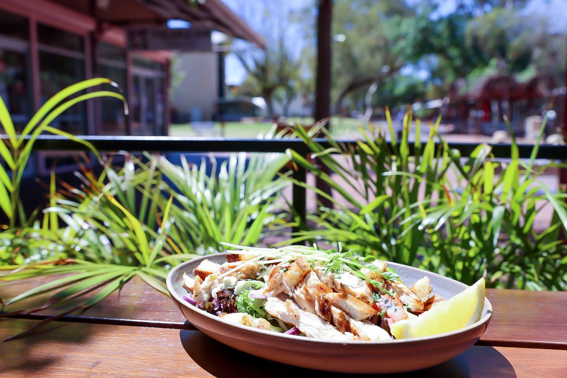 A foodie's guide to Alice Springs