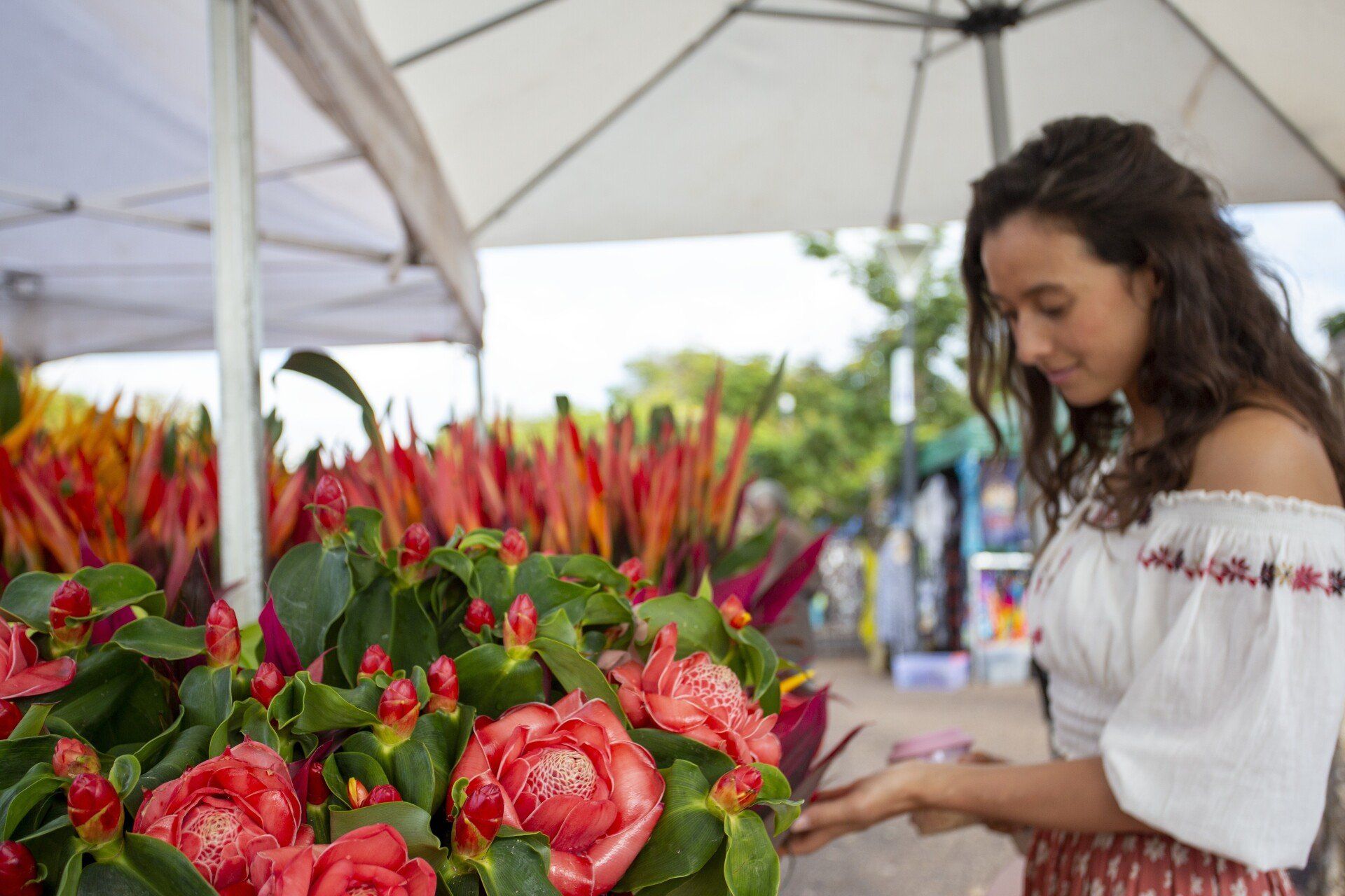 Travel Gateway | Your Gateway to the Territory & Kimberley