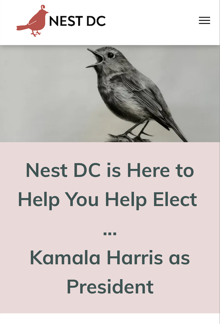 Get the Vote Out with Nest DC