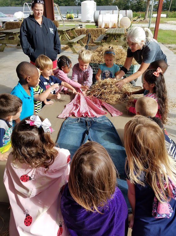 Southside Farms spring and fall field trips. Pick Strawberries or Pumpkins