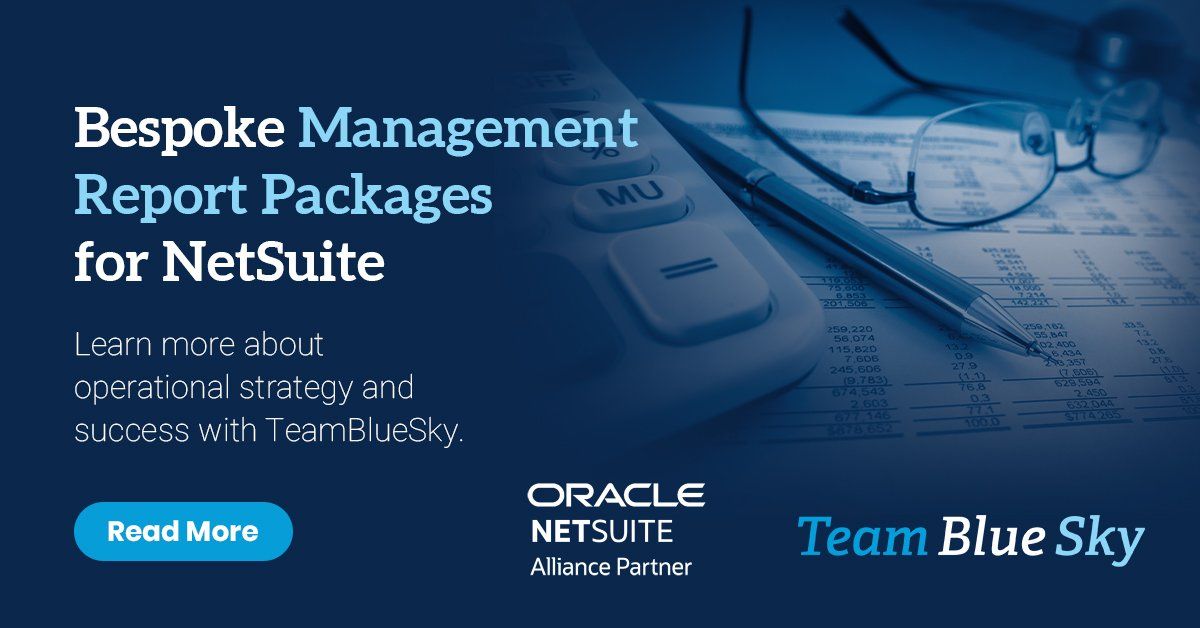 Custom Management Reports for NetSuite | TeamBlueSky