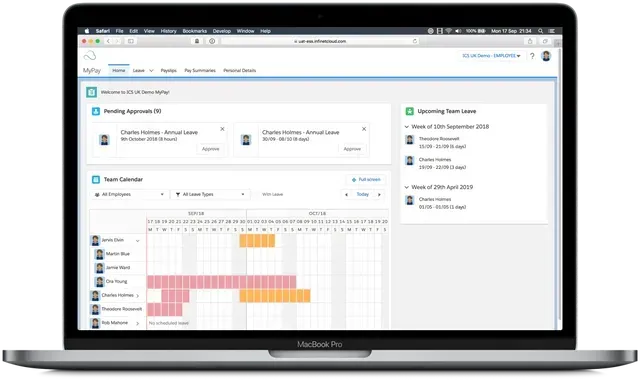 ZonePayroll NetSuite Payroll | TeamBlueSky