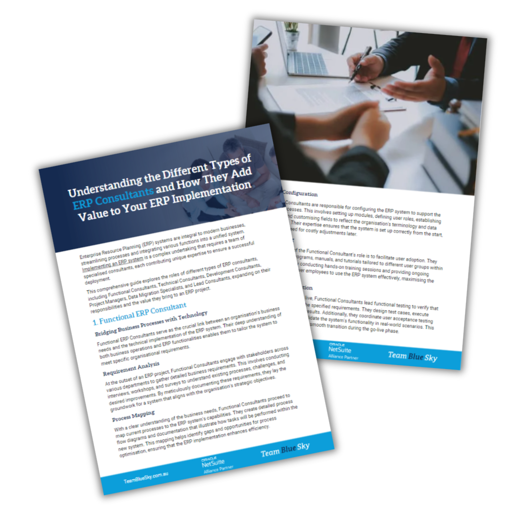 Understanding the Different Types of ERP Consultants and How They Add Value to Your ERP ...