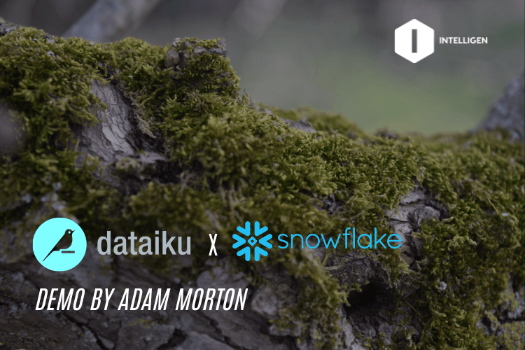 Dataiku x Snowflake Demo By Adam Morton — Intelligen Group Blog