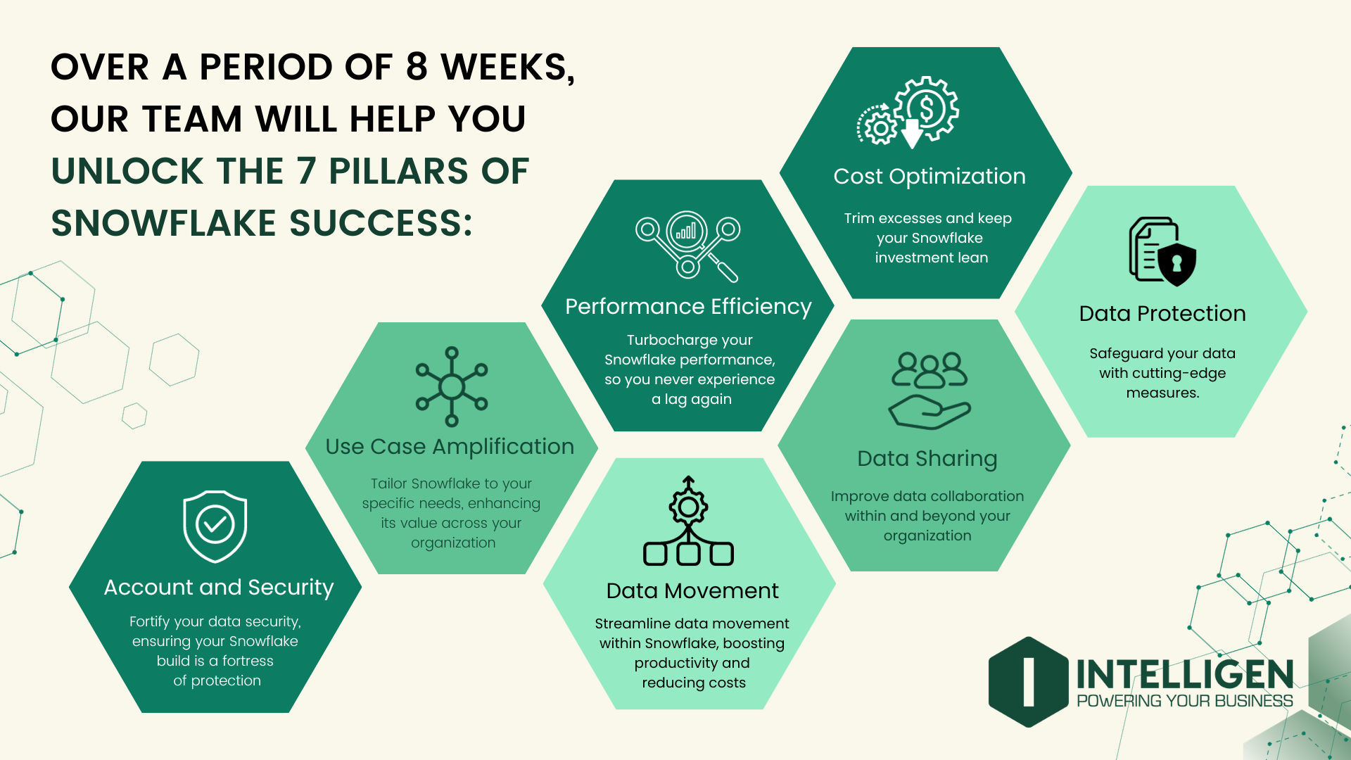 FREE Snowflake Health Check