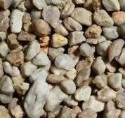 Pebbles | Townsville, QLD | Flintstones Landscaping