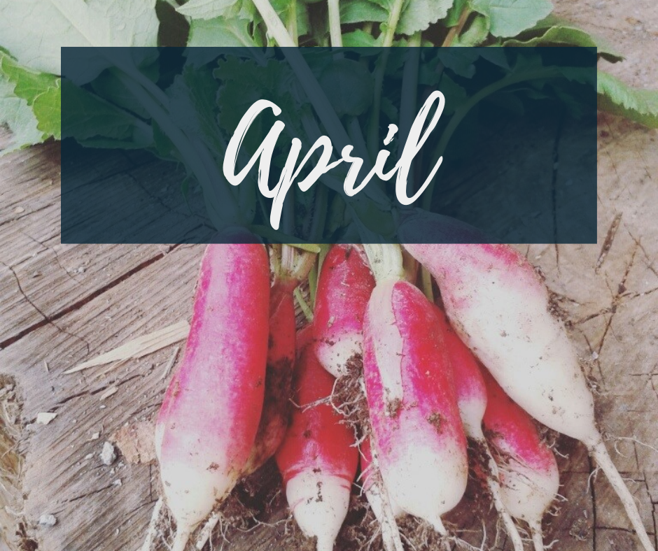 April in Season