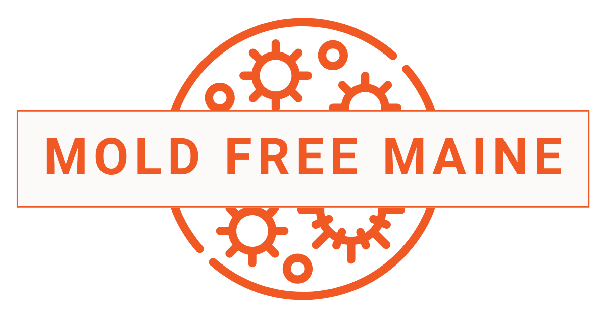 Mold Free Maine