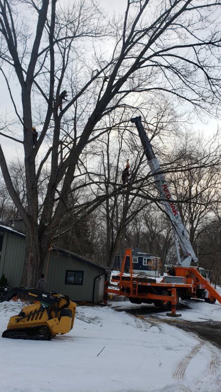 Gallery - Red Oak Tree Service Inc.