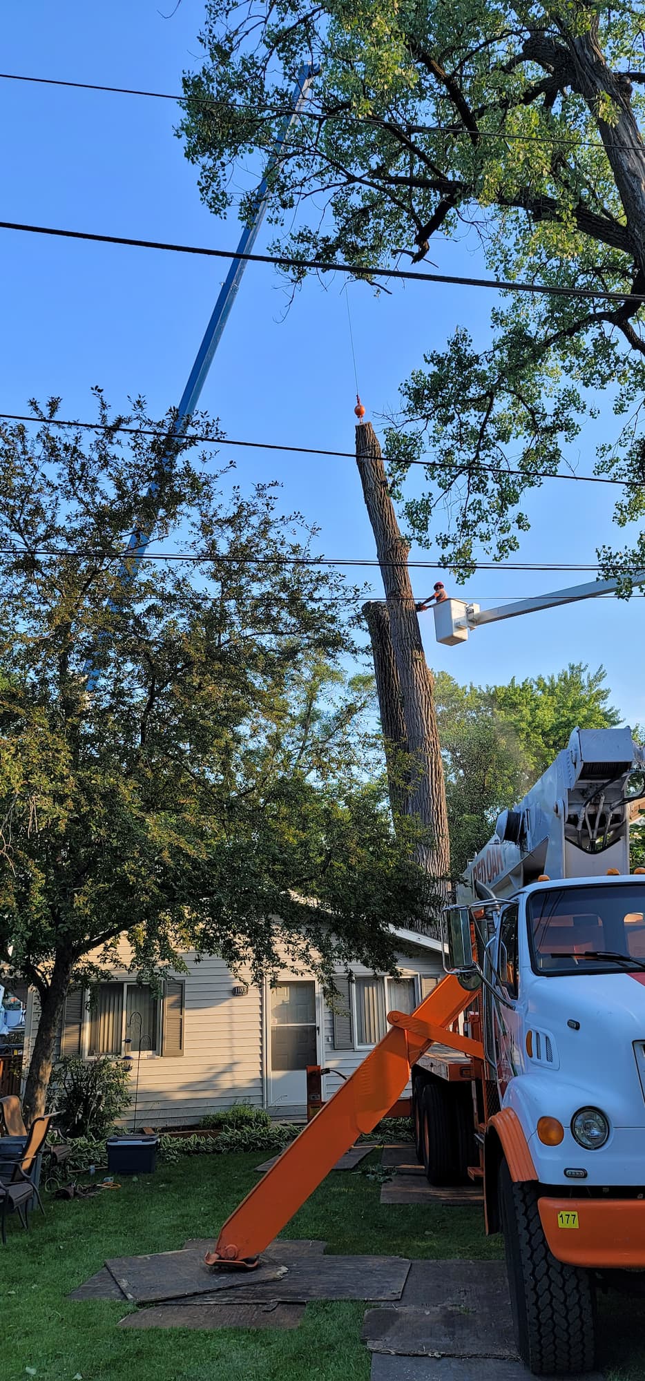 Gallery - Red Oak Tree Service Inc.