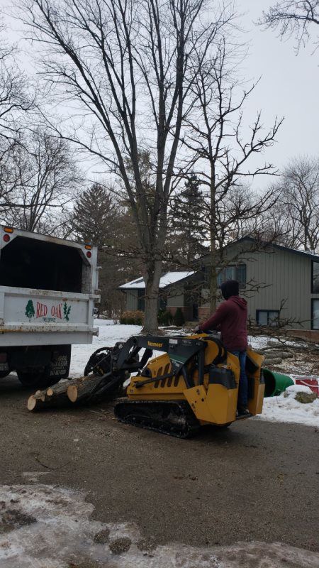 Gallery - Red Oak Tree Service Inc.