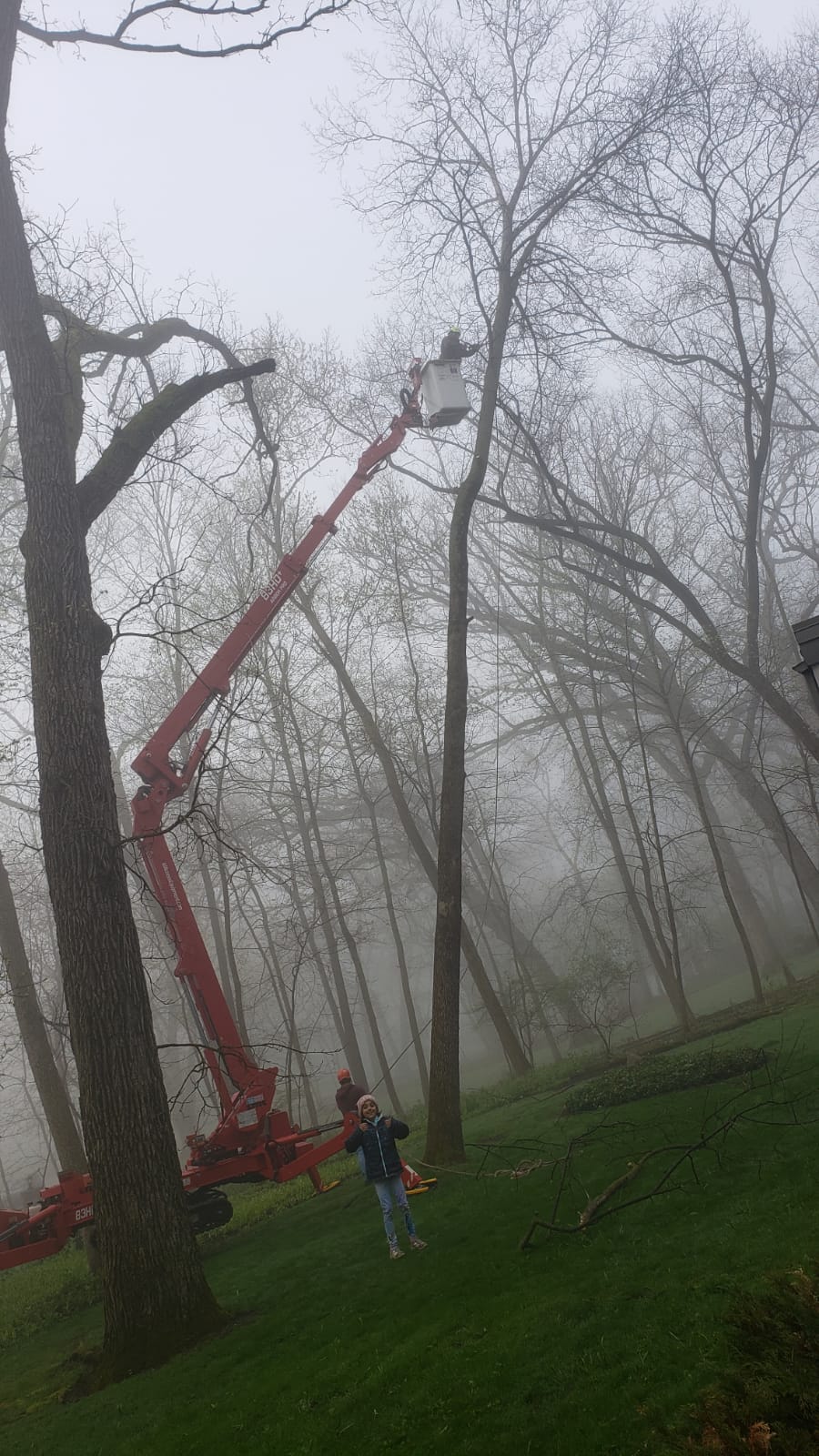 Gallery - Red Oak Tree Service Inc.