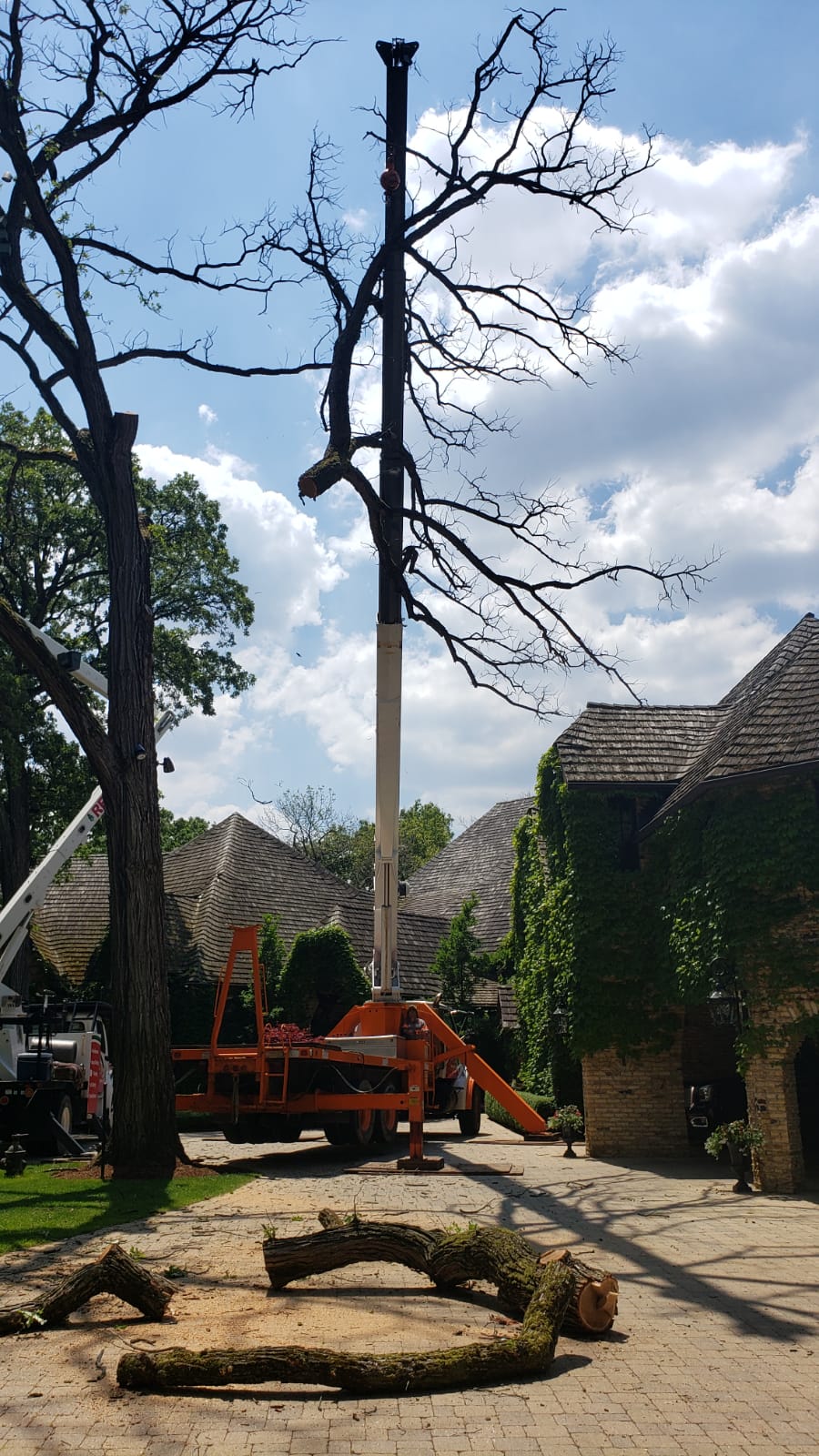 Gallery - Red Oak Tree Service Inc.