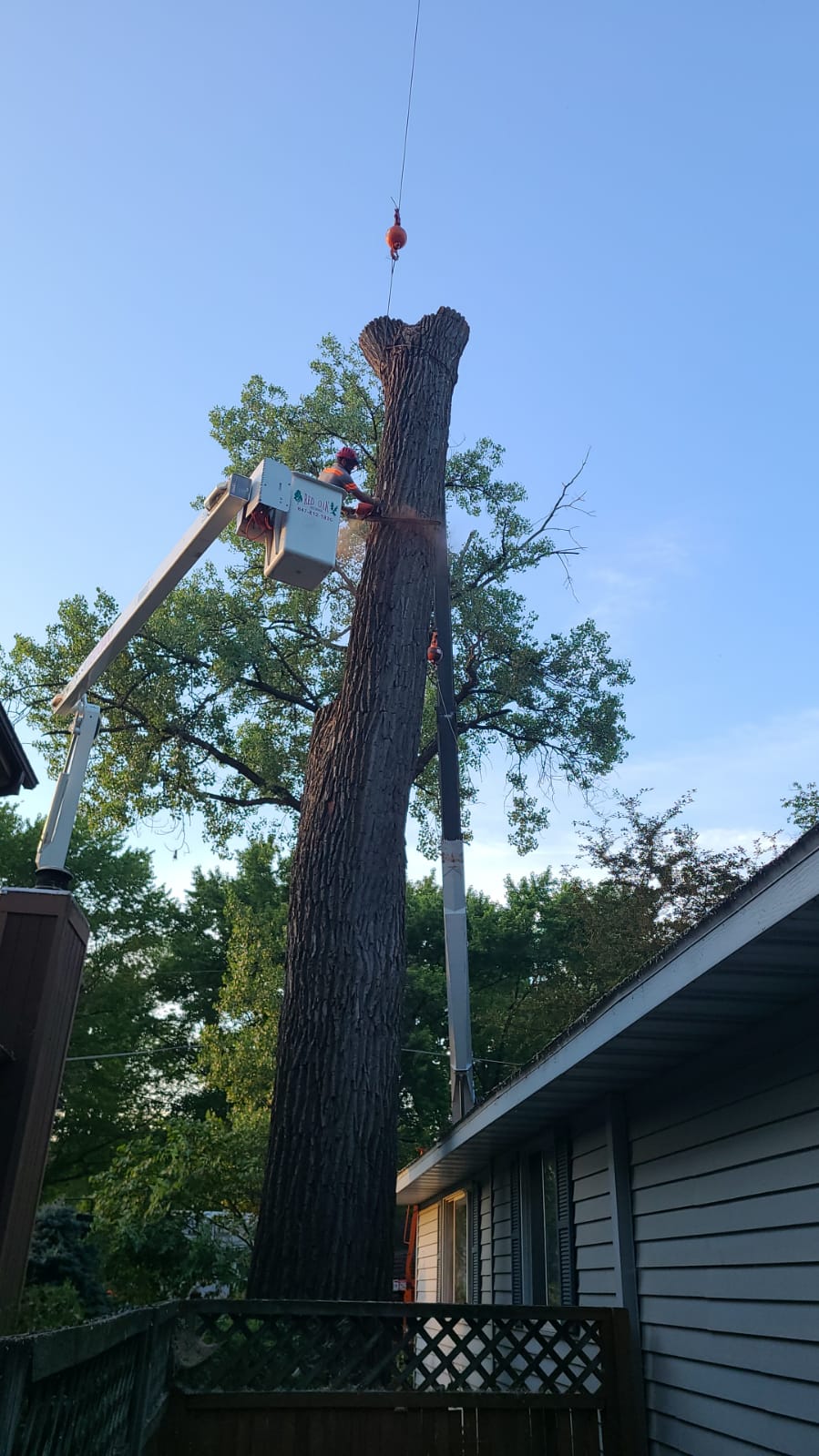 Gallery - Red Oak Tree Service Inc.