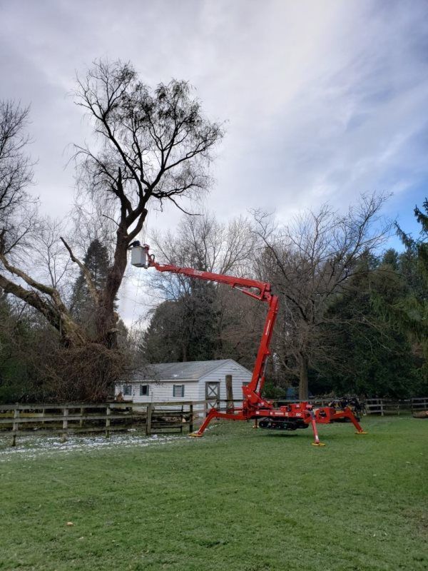 Gallery - Red Oak Tree Service Inc.