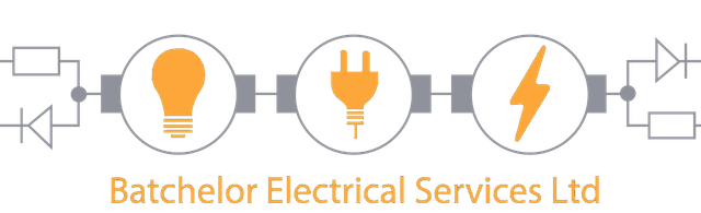 Electrical Distribution Companies