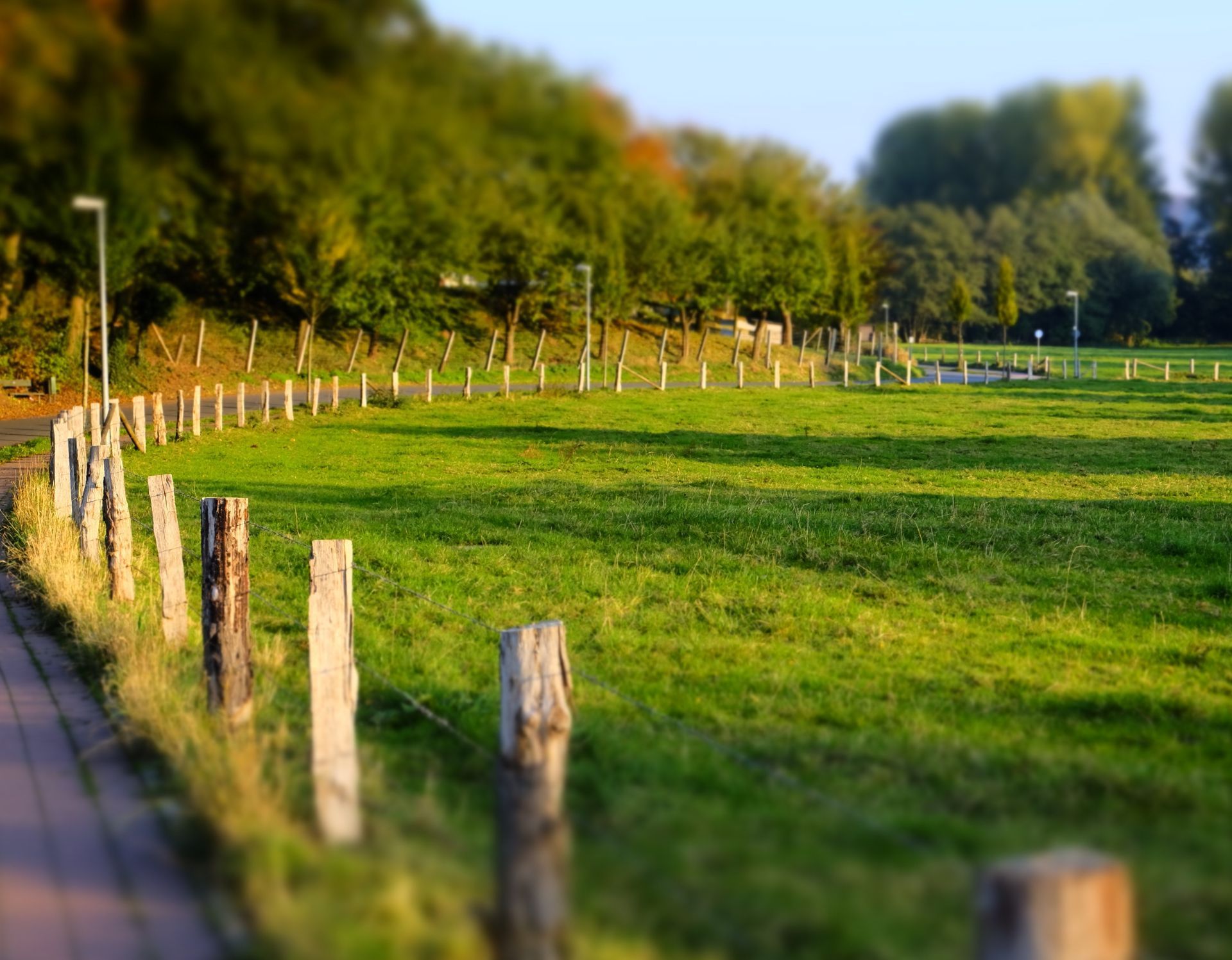 Maryland Pasture, Rangeland, Forage Insurance (Cost & Coverage)