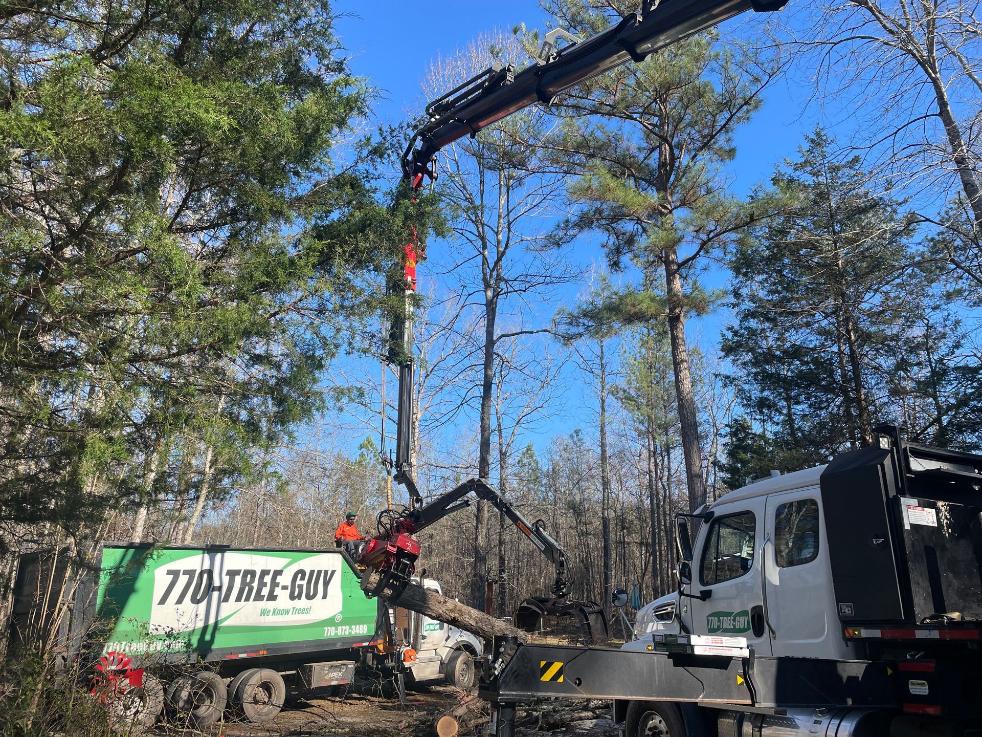 5 Steps for Summer Tree Care & Maintenance