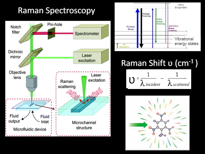HABStats – Development of a Raman Imaging Flow Cytometer