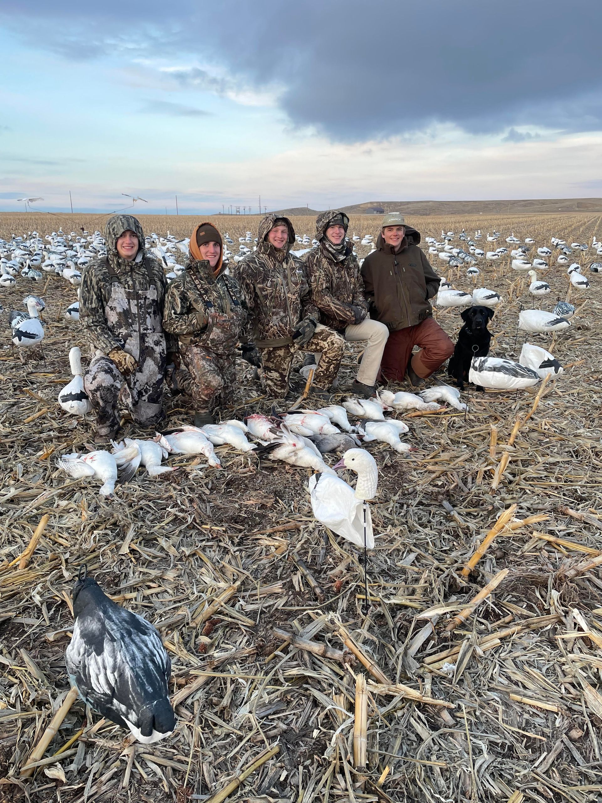 Nebraska Spring Snow Goose Hunts - Hunting Guide & Outfitter