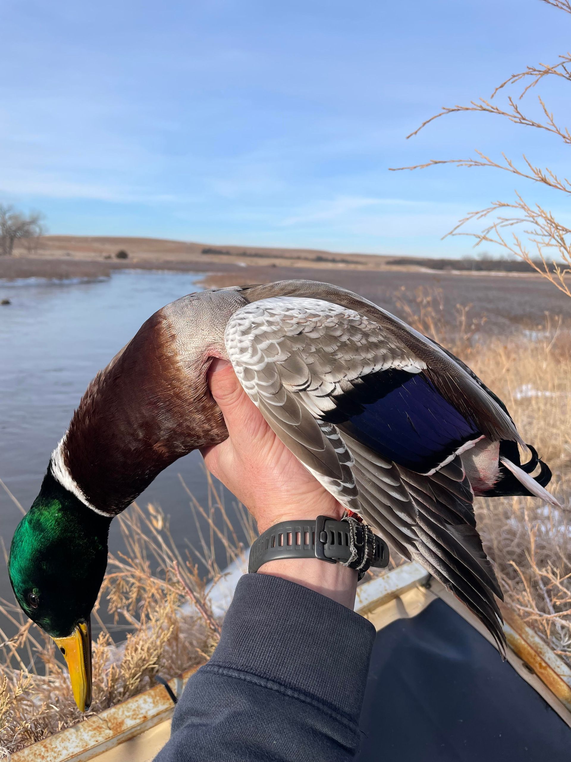 Nebraska Duck Hunts - Guided Duck Hunting NE