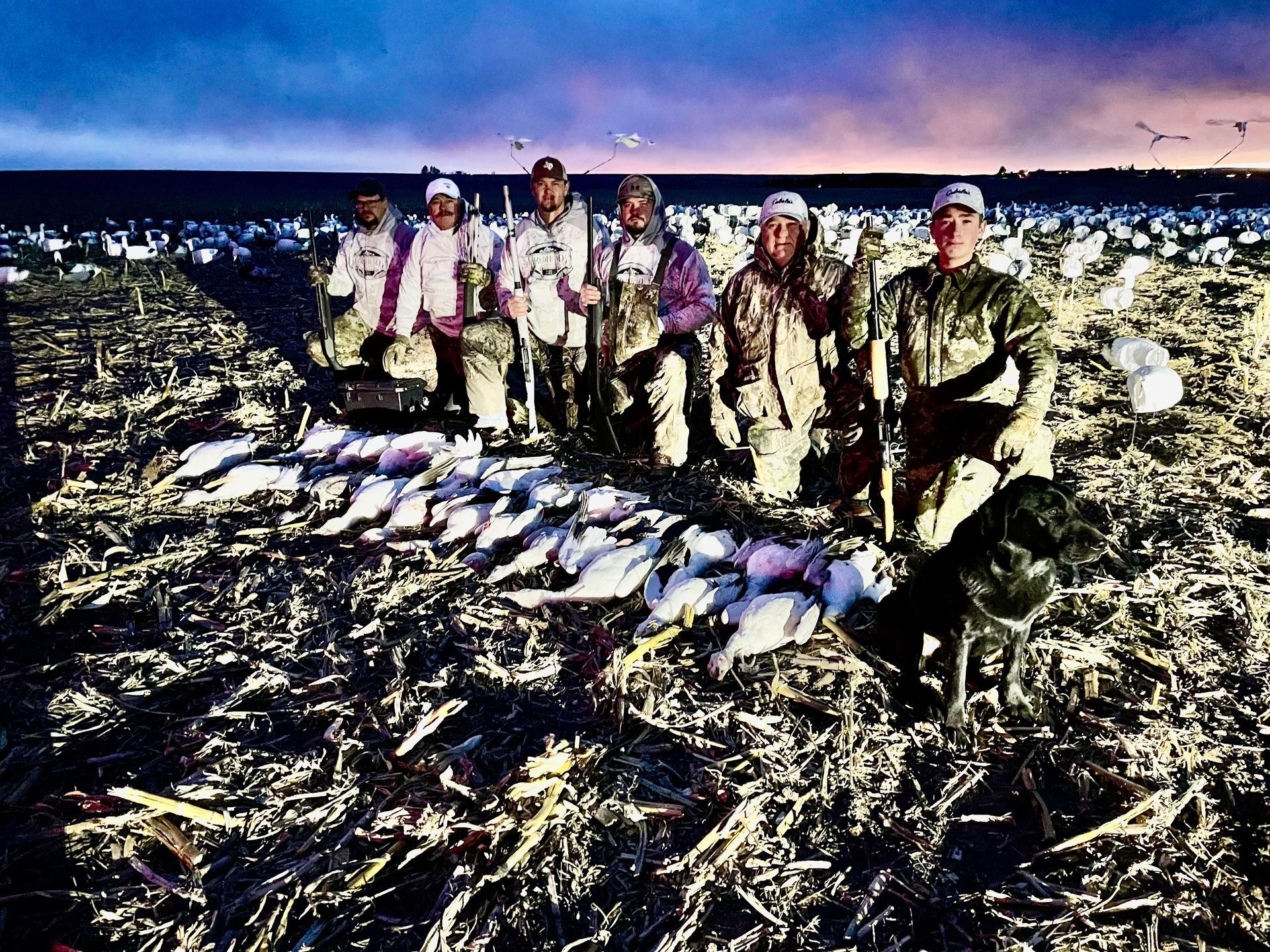 Nebraska Spring Snow Goose Hunts - Hunting Guide & Outfitter