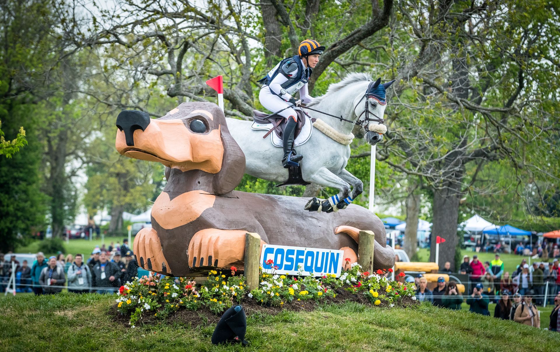 Cosequin® Lexington 4*-S to Offer Increased Prize Money at 2024 ...