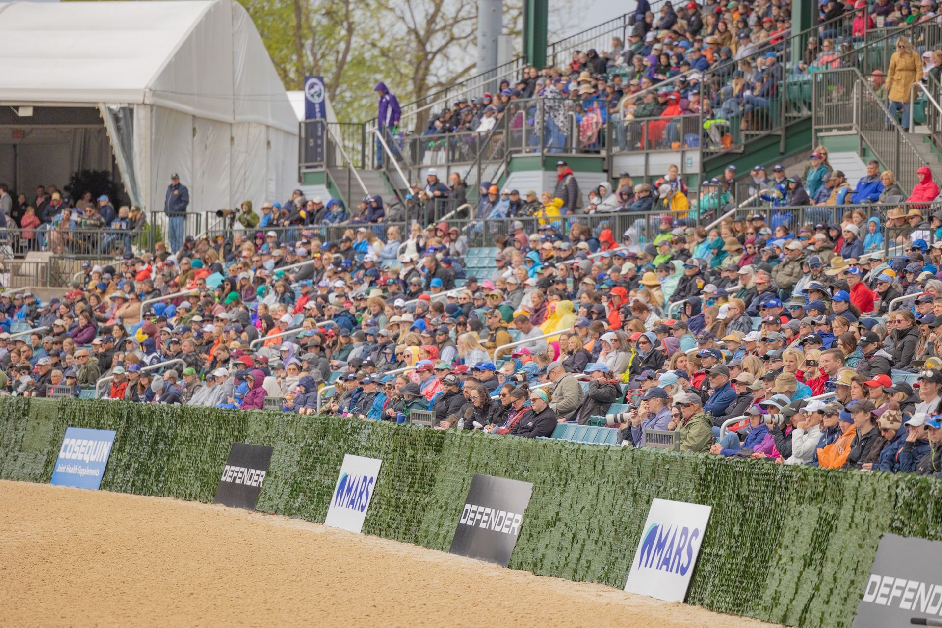 A Spectator's Guide to Preparing for an Equestrian Competition: 7 Tips