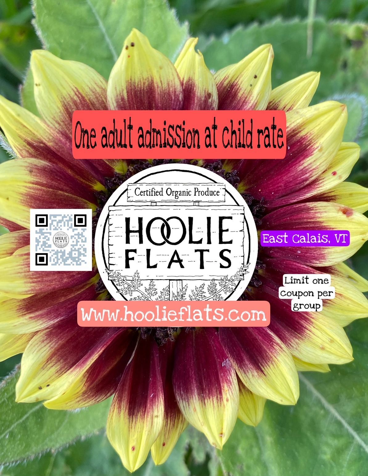 Hoolie Flats Farm | Flower Maze in East Calais, VT