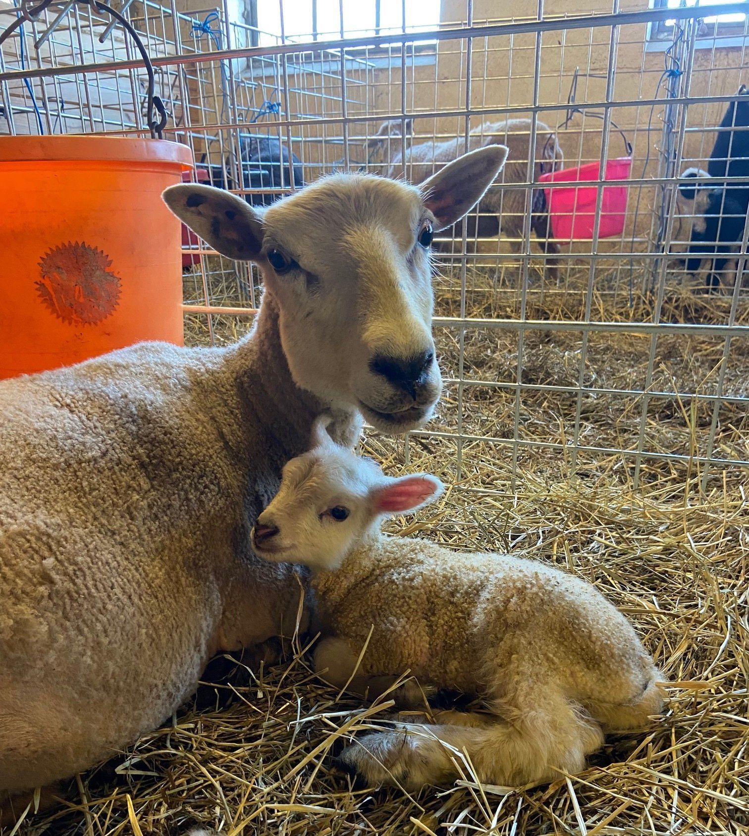 HOME [www.willowcreekfarmpreserve.org]