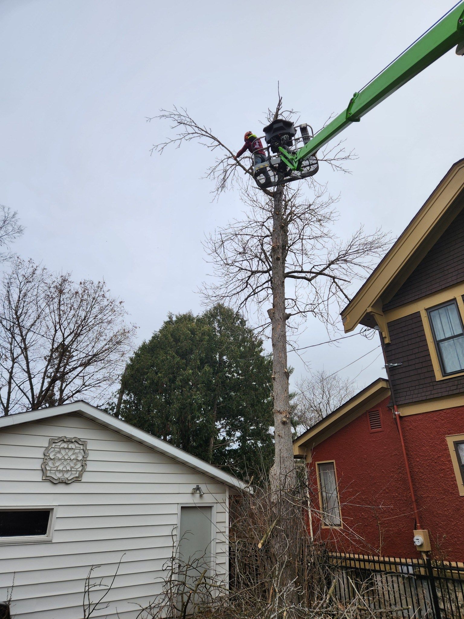 Handrich Tree Service LLC | Tree Services | Tree Trimming | Tree ...