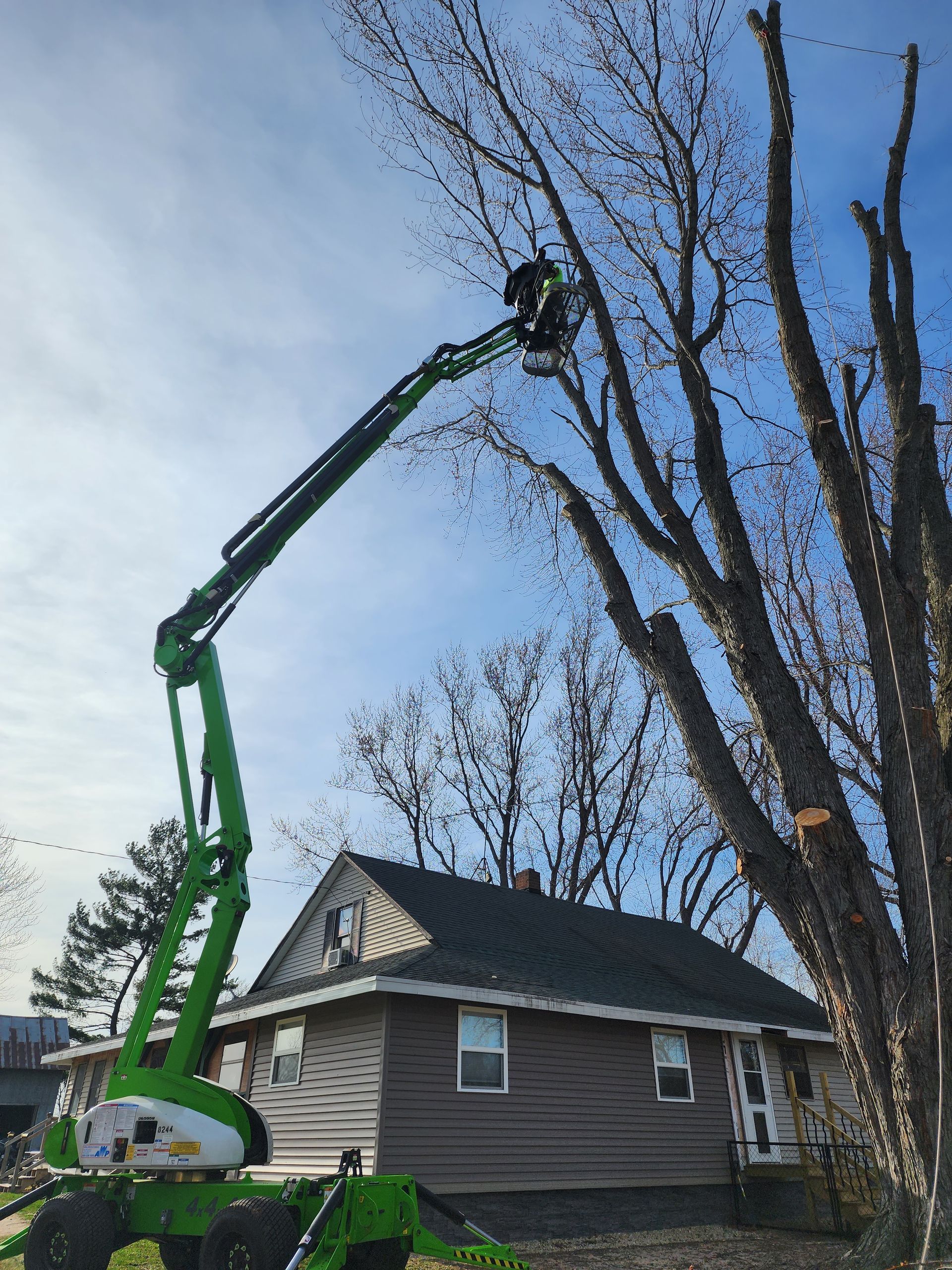 Handrich Tree Service LLC | Tree Services | Tree Trimming | Tree ...