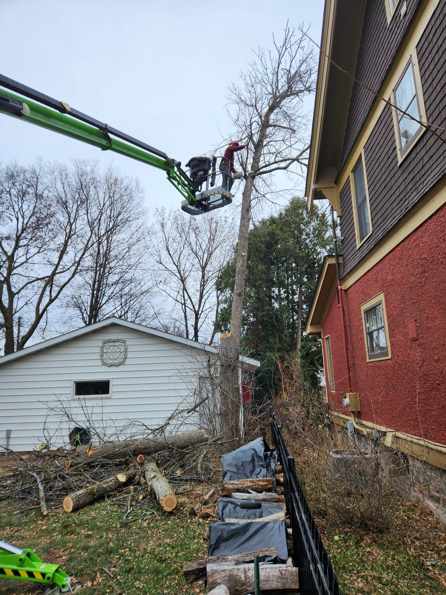 Handrich Tree Service LLC | Tree Services | Tree Trimming | Tree ...