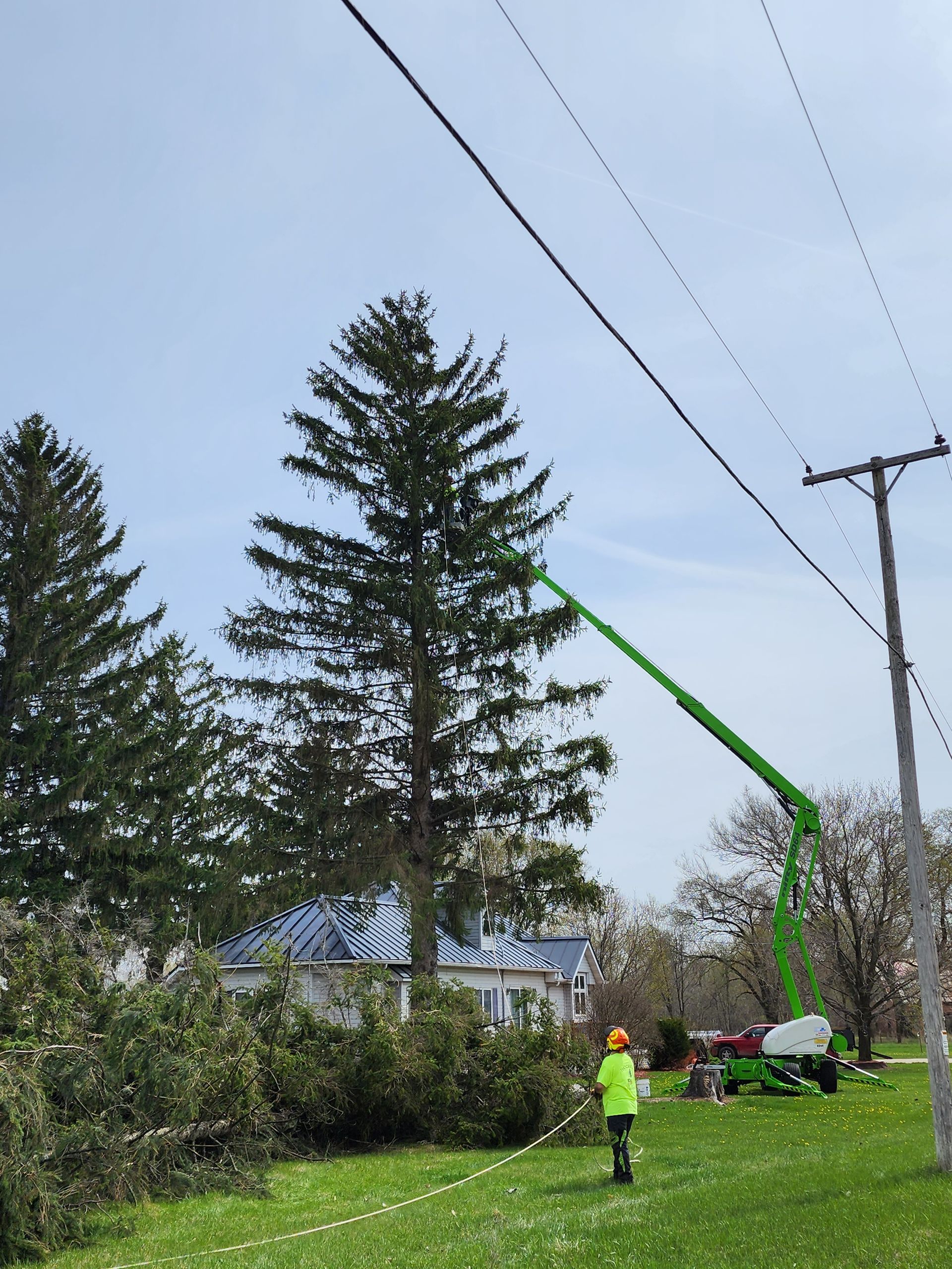 Handrich Tree Service LLC | Tree Services | Tree Trimming | Tree ...