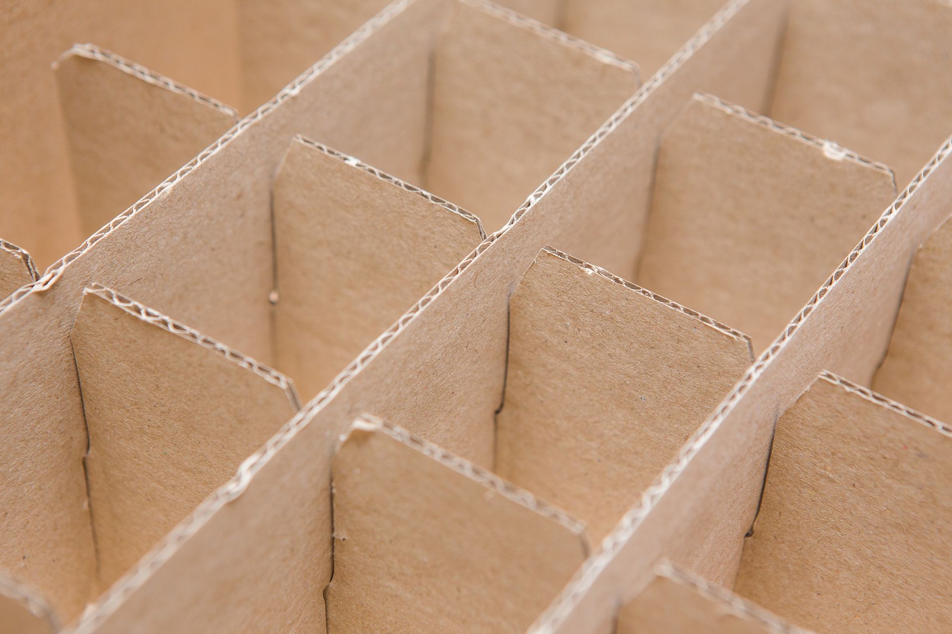 Cajas con divisiones internas | Papeles y corrugados andina | Bogotá